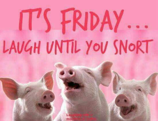 70 Funniest Friday Memes And Best TGIF Meme For The Weekend 70 Funniest Friday Memes And Best TGIF Meme For The Weekend