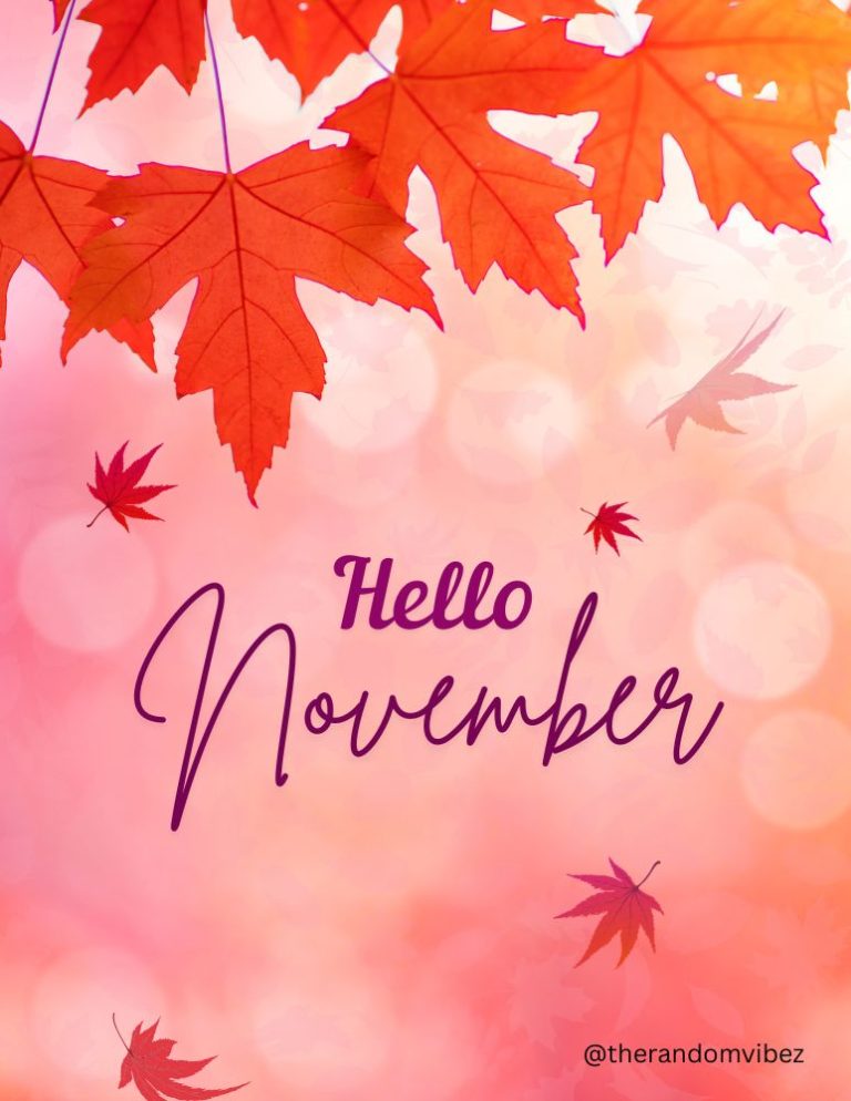 60 Hello November Images, Pictures, Quotes And Pics [2025]