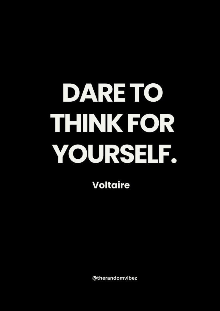 40 Best Voltaire Quotes That Still Resonate Today – The Random Vibez