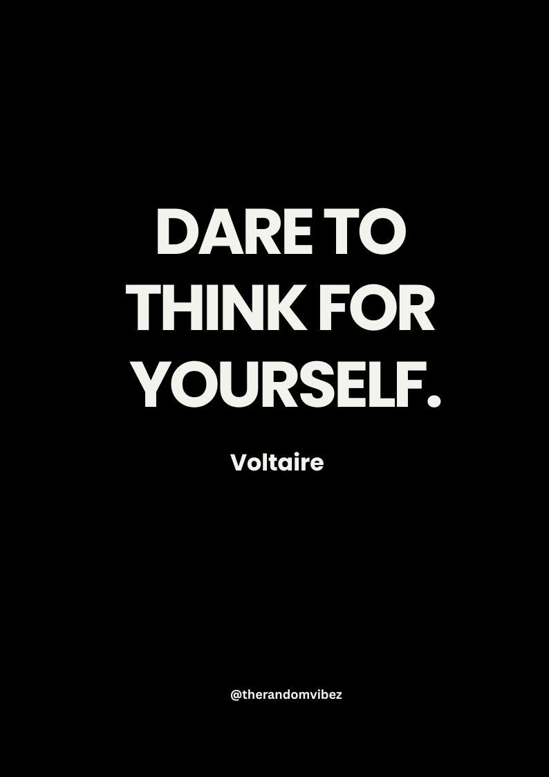 40 Best Voltaire Quotes That Still Resonate Today – The Random Vibez