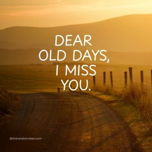 140+ Unique WhatsApp DP Images with Quotes (2025)