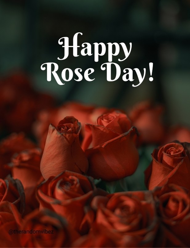 Happy Rose Day Wishes, Images, and Quotes [2025]