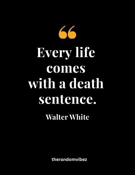 35 Best Breaking Bad Quotes And Lines From The Hit TV Show