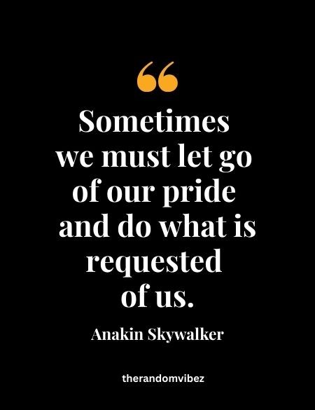 30 Best Anakin Skywalker Quotes From Star Wars
