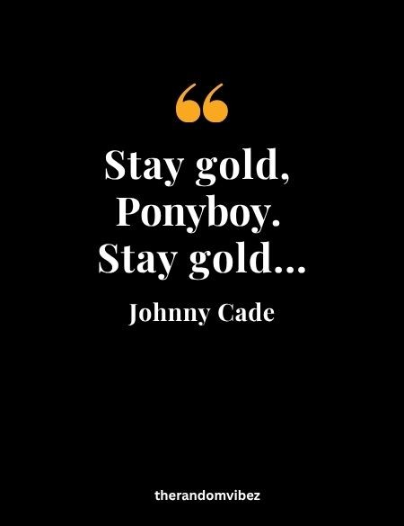 30 Best Johnny Cade Quotes From The Outsiders
