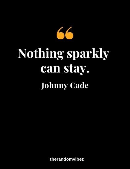30 Best Johnny Cade Quotes From The Outsiders