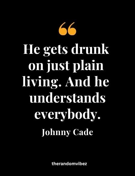30 Best Johnny Cade Quotes From The Outsiders